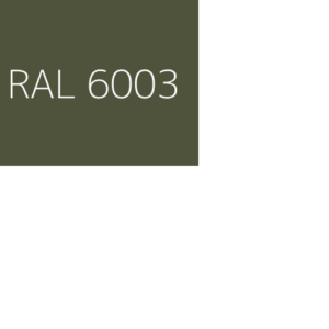 RAL 6003 Direct To Bare Metal Paint - Steyer